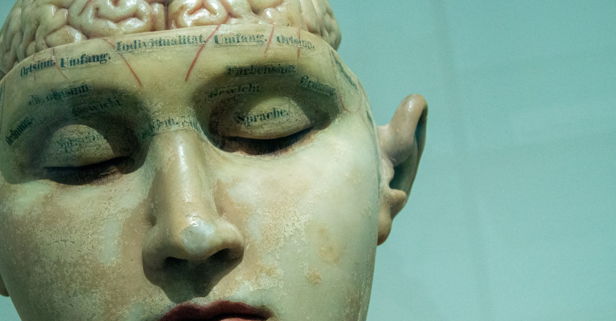 The Brain Almond – Zaag Supplements